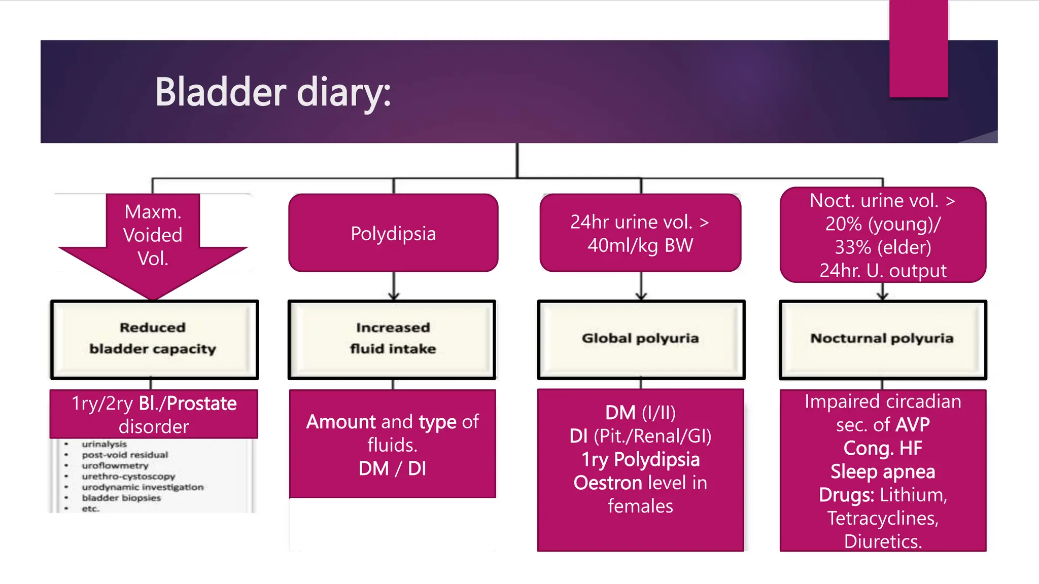 Urodynamic studies overview and examples.pptx | Digestive Disorders ...