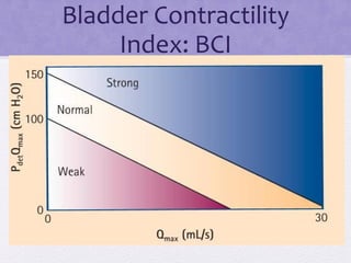 Urodynamic studies (1) | PPT