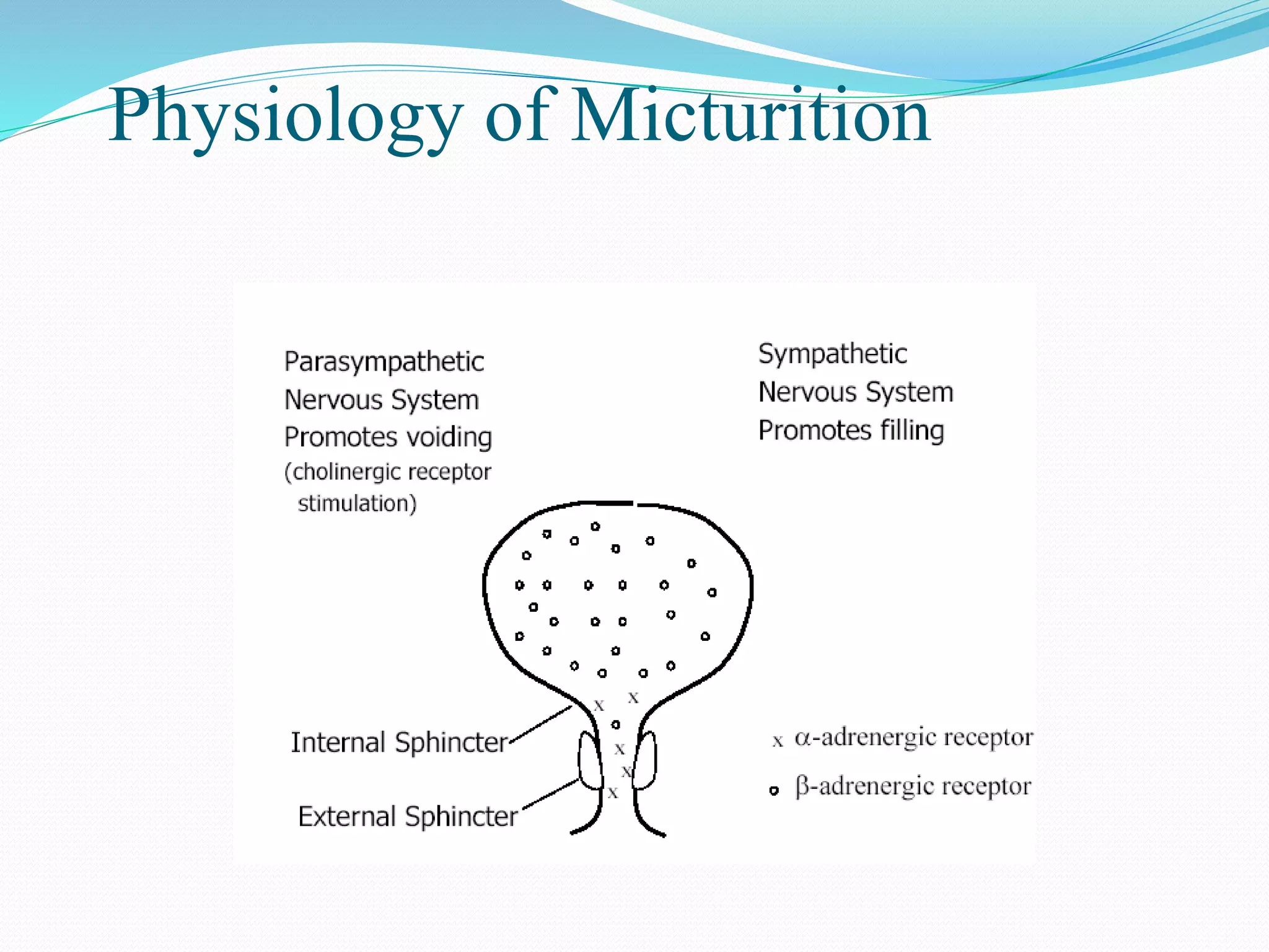 Urodynamic study | PPTX