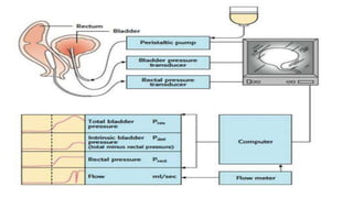 Urodynamic Testing.pptx