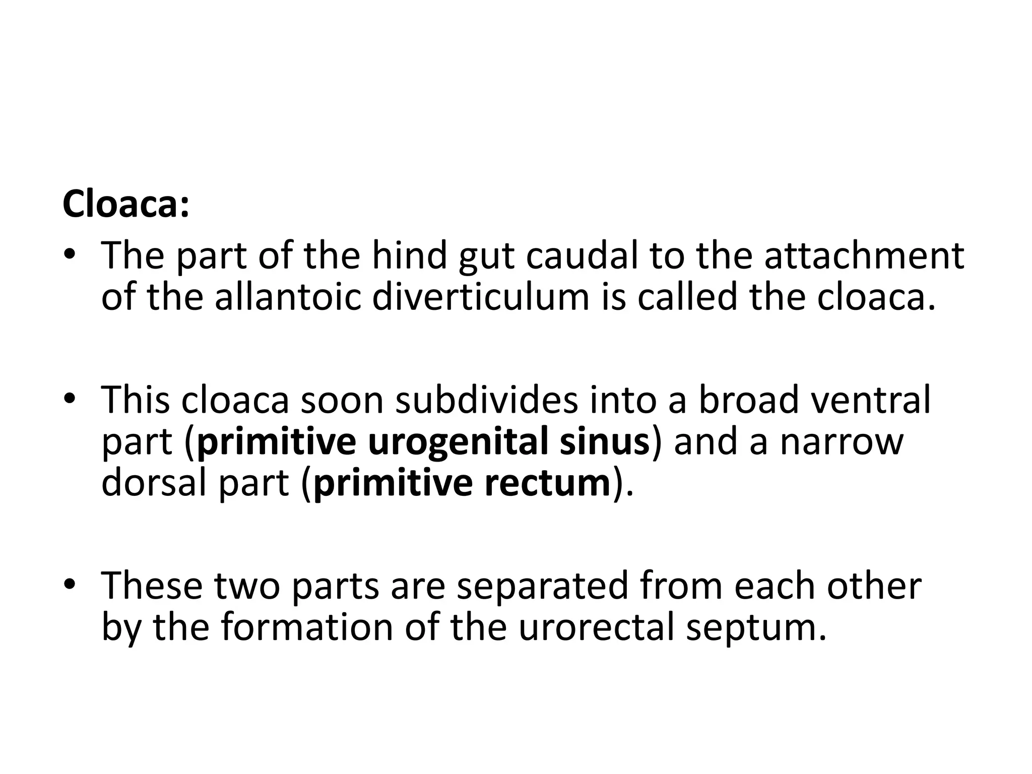 Urogenial sinus and vagial atresias | PPTX