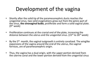 Urogenial sinus and vagial atresias | PPTX