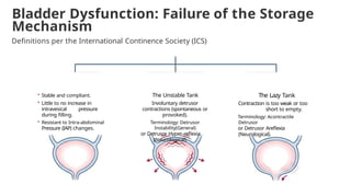 Urogenital_Dysfunction_Pathophysiology_and_Investigation.pptx