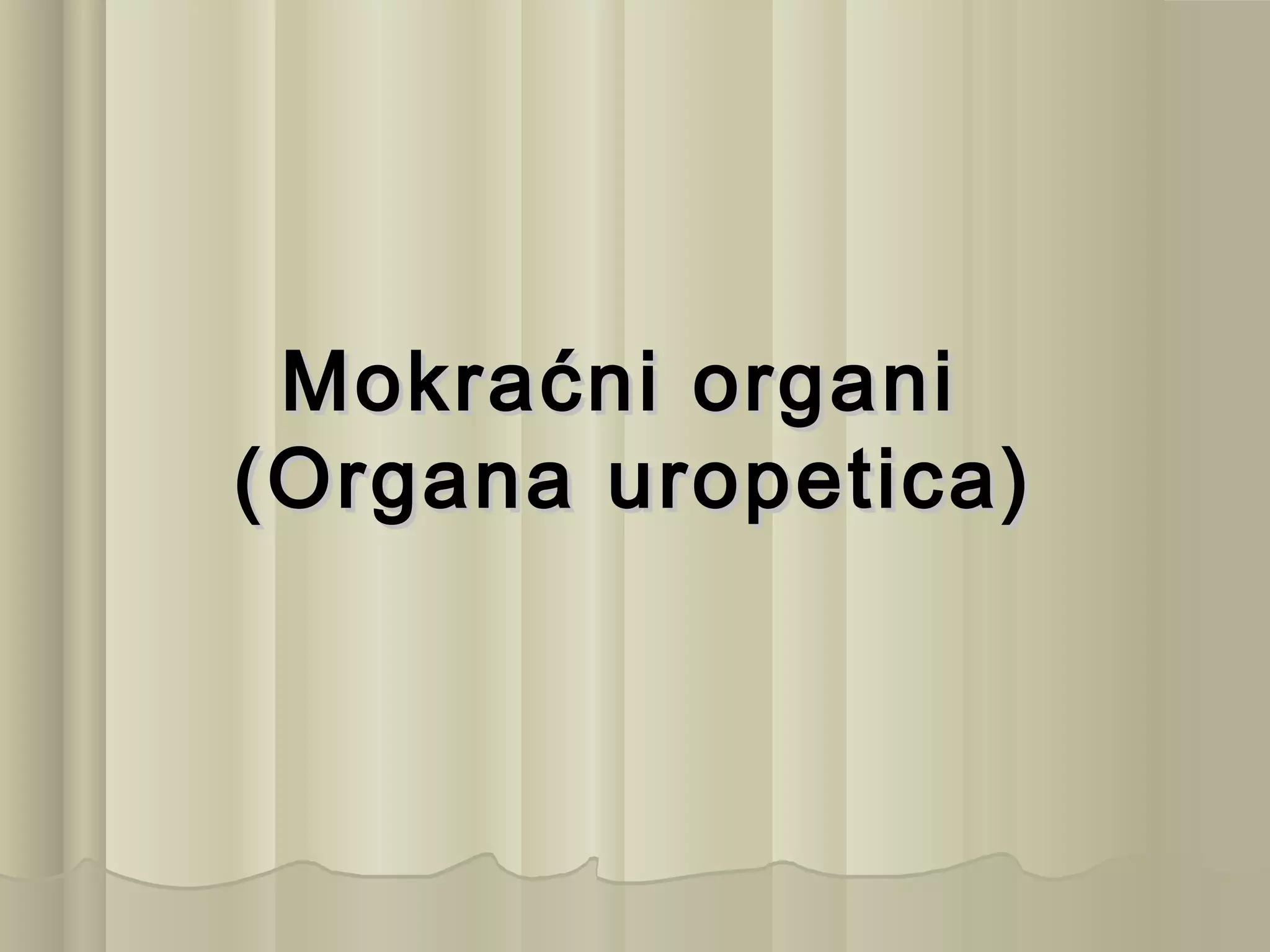 Urogenitalni trakt | PPT
