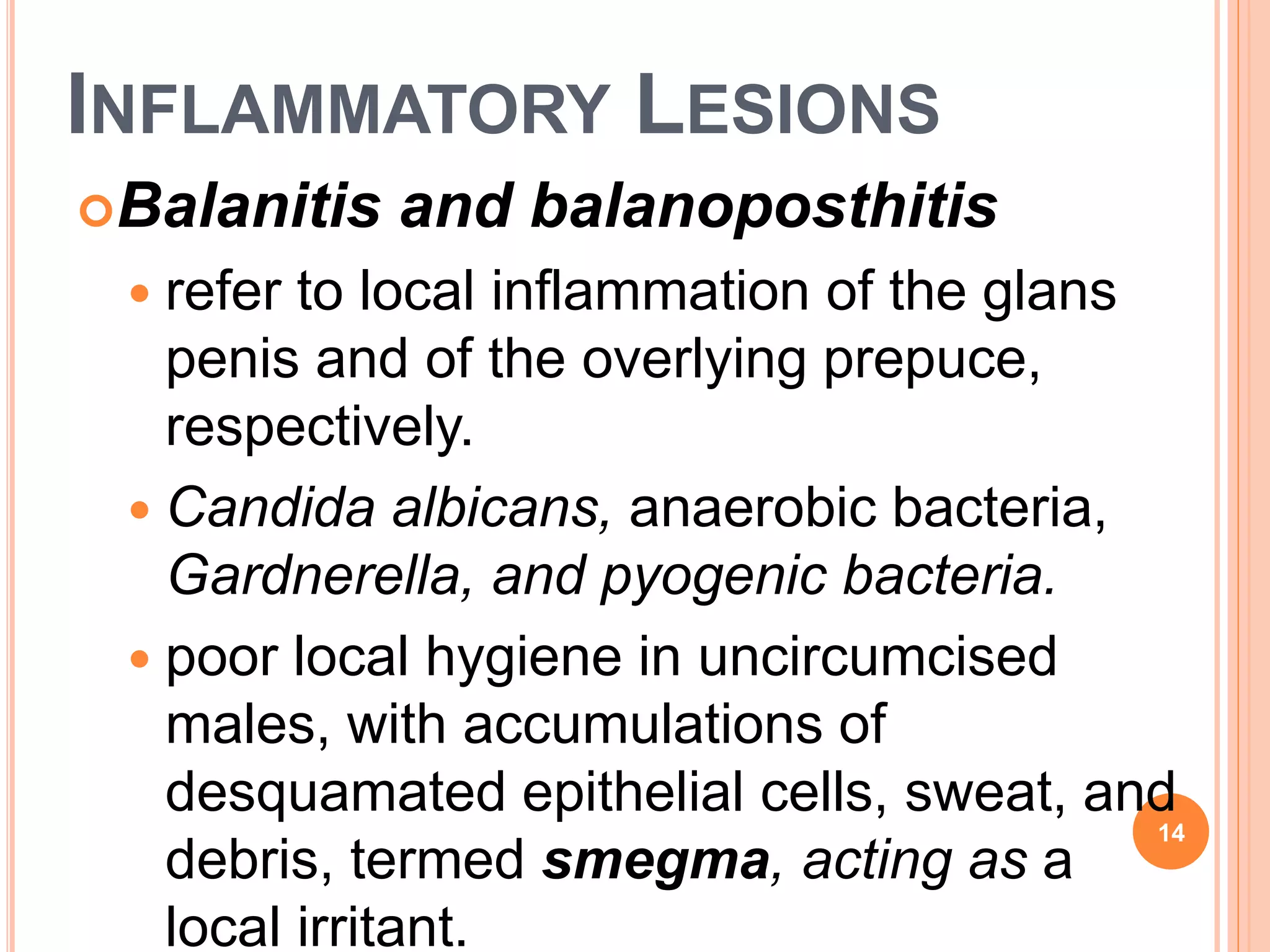 Urogenital system | PPTX