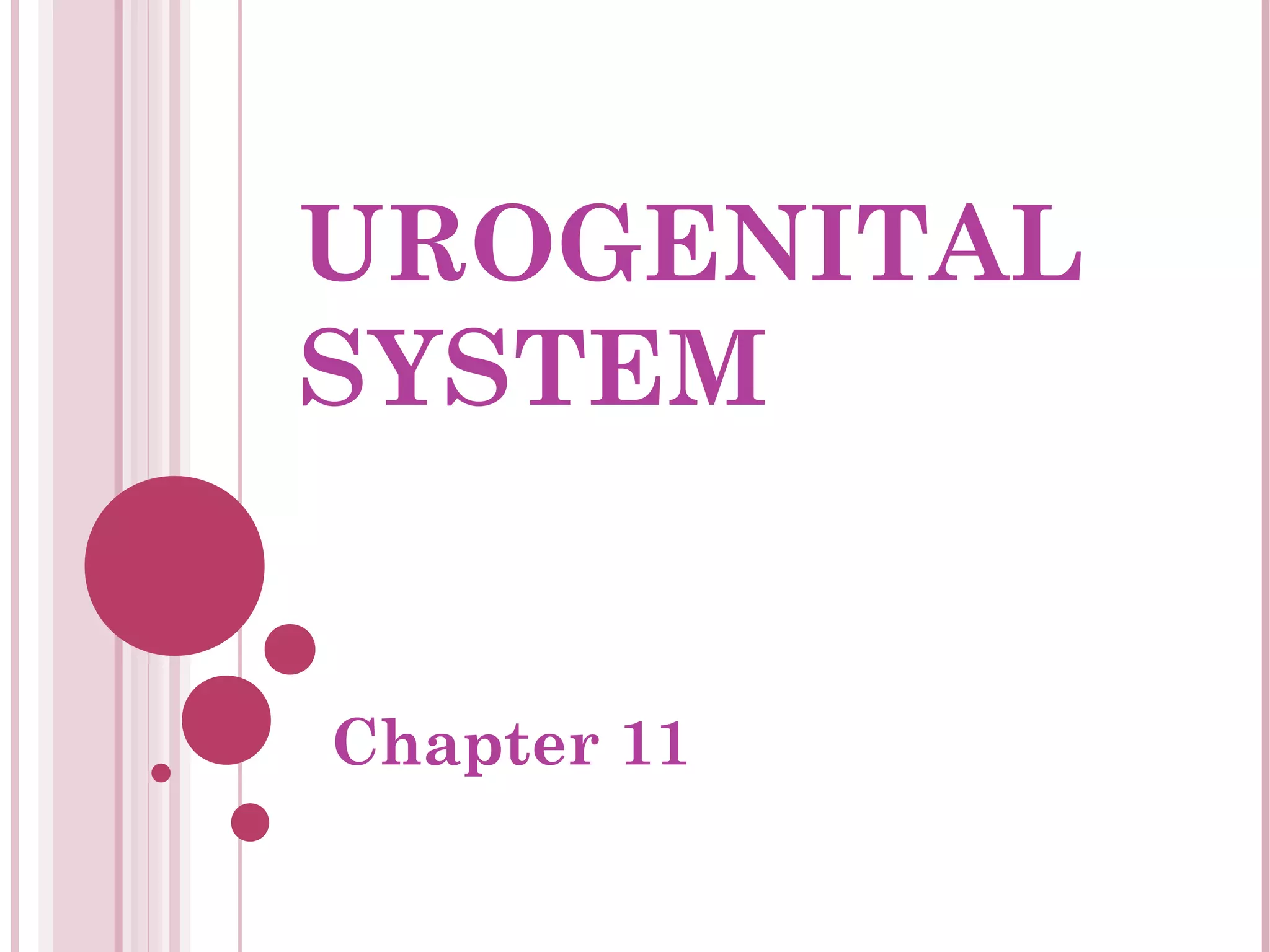 Urogenital system chap | PPT