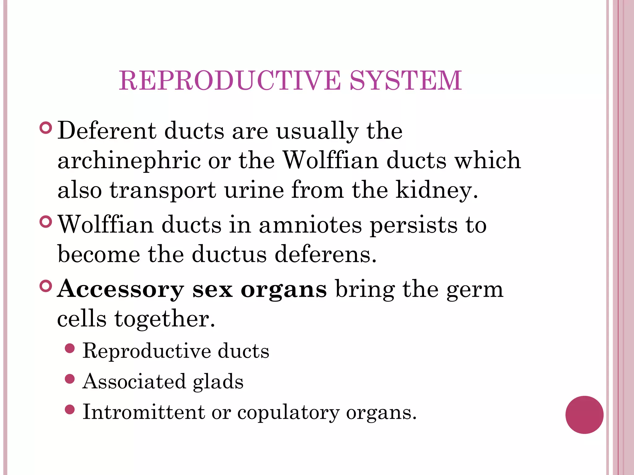 Urogenital system chap | PPT