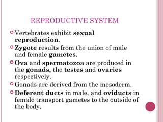 Urogenital system chap | PPT