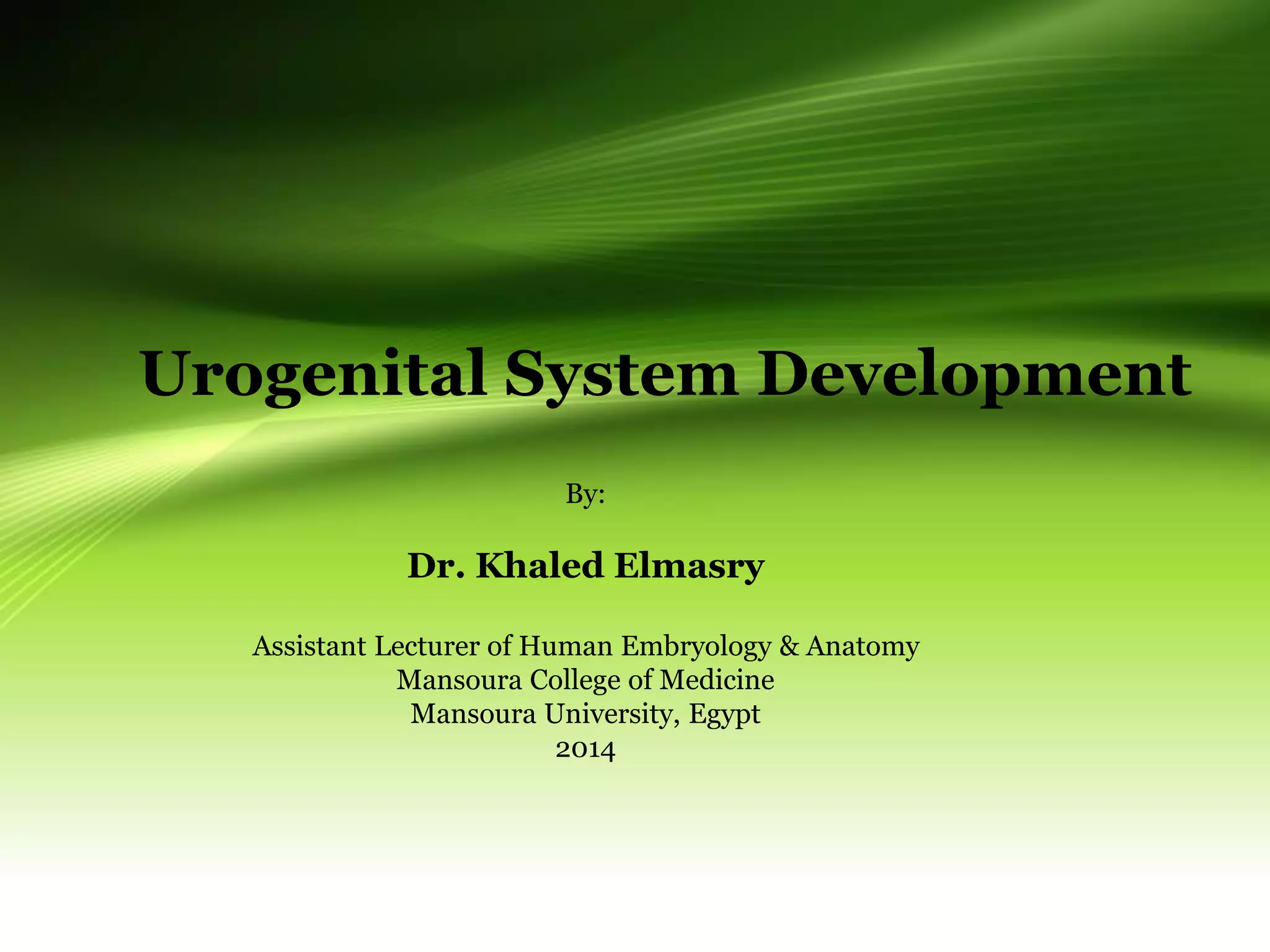 Urogenital system embryology | PPT