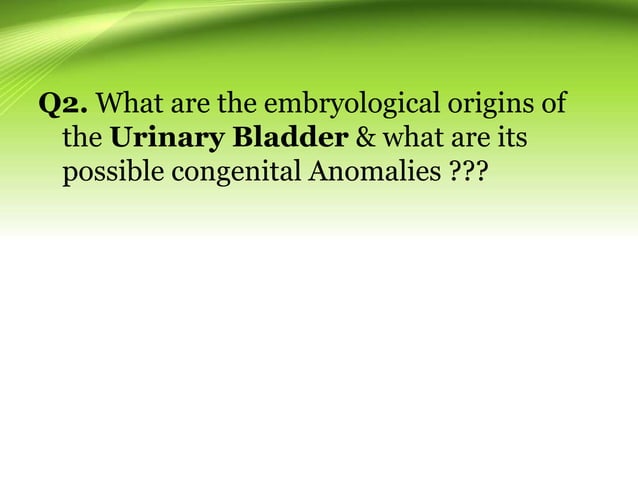 Urogenital system embryology | PPT