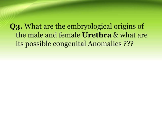 Urogenital system embryology | PPT