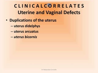 Urogenital System Embryology.pptx
