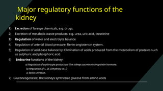 physiology of the renal system and acid base balance | PPTX