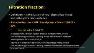 physiology of the renal system and acid base balance | PPTX