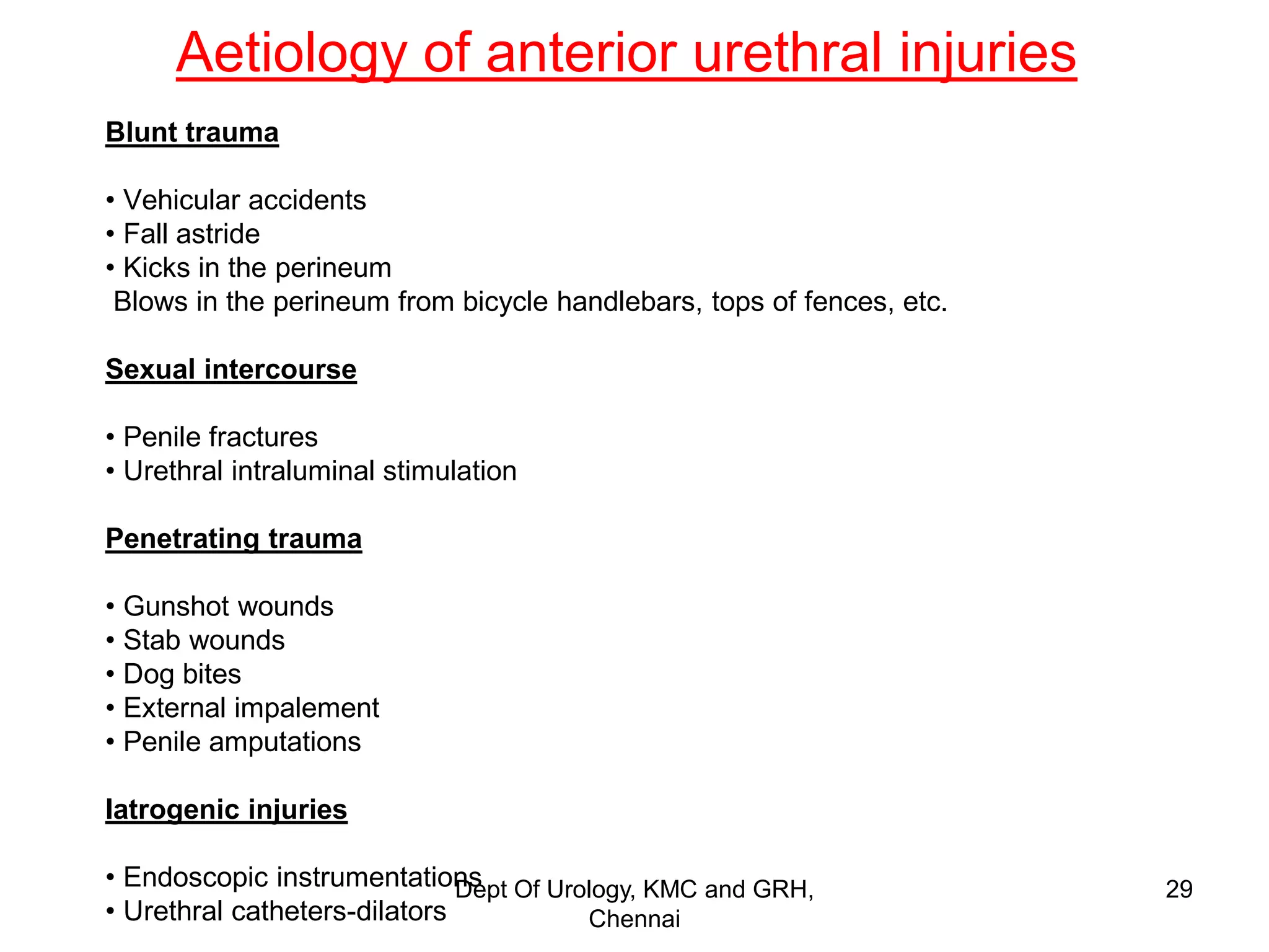 Urogenital triangle | PDF