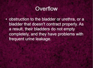 Urogynaecology | PDF