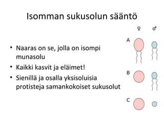 Uroksen biologiaa | PPT