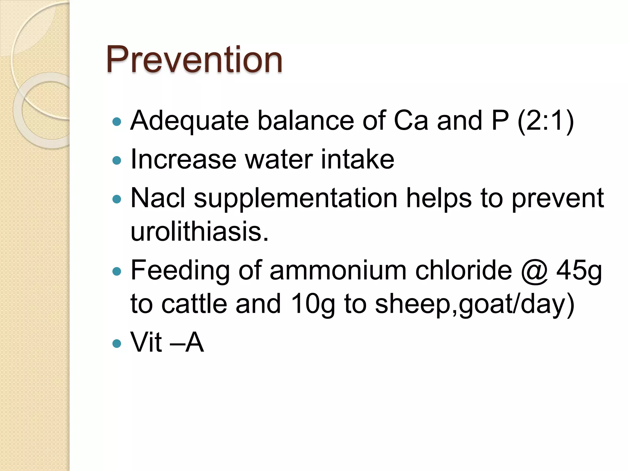 Urolithiasis in cattle, seep and goat ppt | PPTX