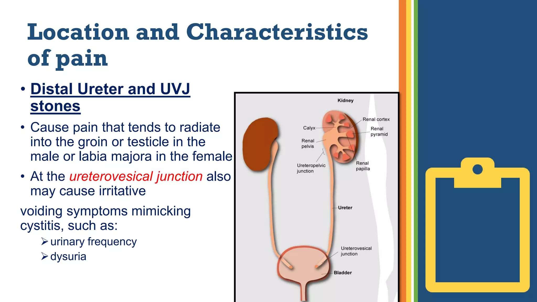 Urolithiasis | PDF