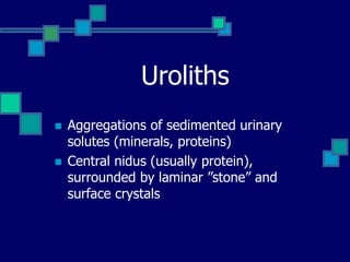 Urolithiasis | PPT