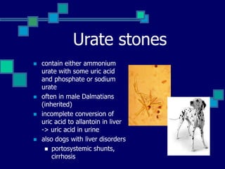 Urolithiasis | PPT