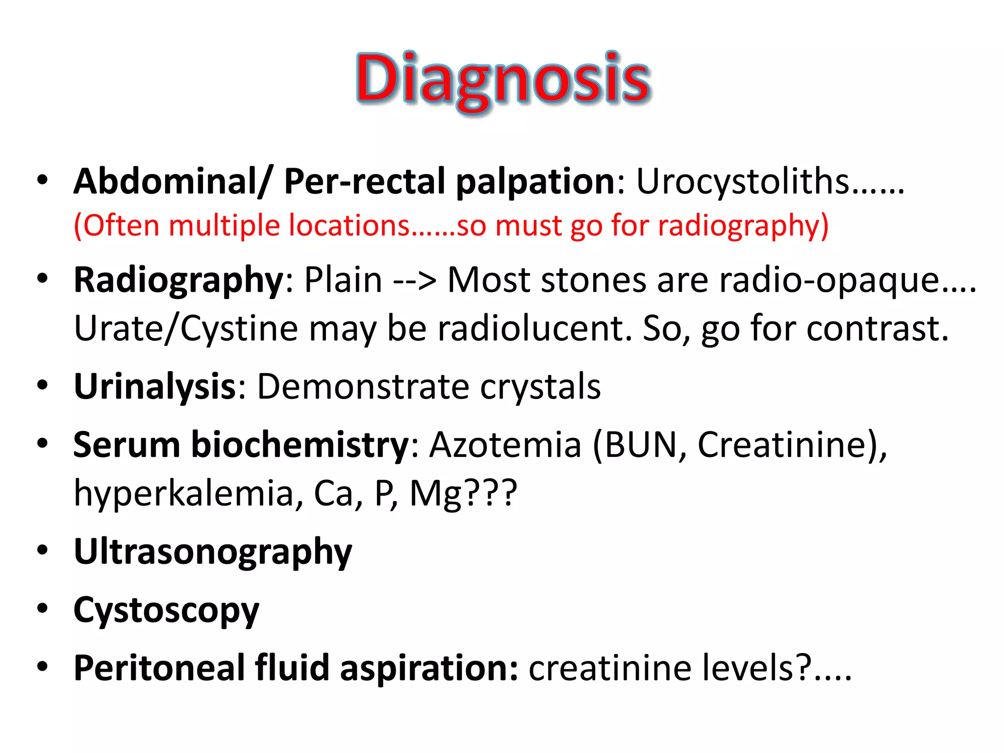 Urolithiasis in domestic animals | PPTX