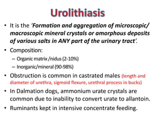 Urolithiasis in domestic animals | PPTX