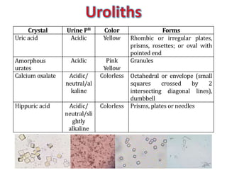 Urolithiasis in domestic animals | PPTX