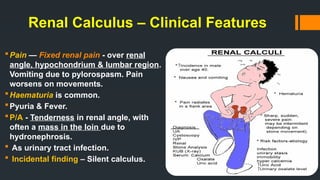 Urolithiasis - Stones of the Urinary System | PPTX