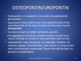 Urolithiasis biochemistry | PDF
