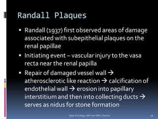 Urolithiasis etiopathogenesis | PDF