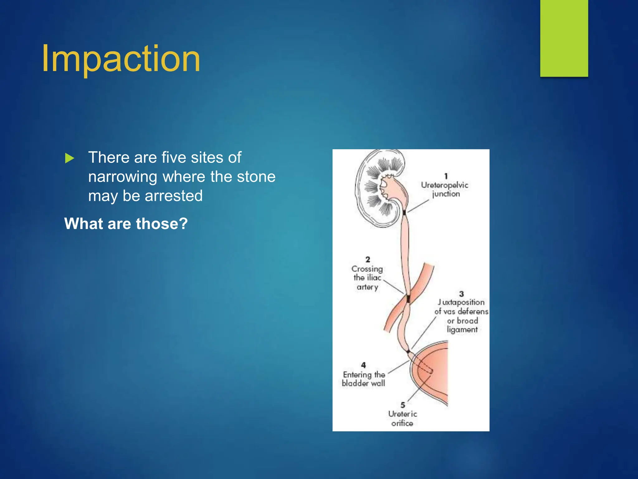 urolithiasis 2 by Dr Ahmed Sajjad HIT Taxila | PPTX | Digestive ...