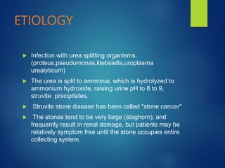 urolithiasis 2 by Dr Ahmed Sajjad HIT Taxila | PPTX