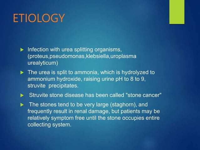 urolithiasis 2 by Dr Ahmed Sajjad HIT Taxila | PPT