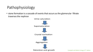Urolithiasis epidemology and pathogenesis | PPTX | Medical Health