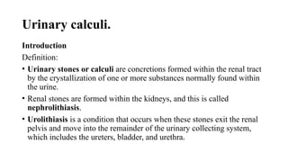 Comprehensive Overview of Urolithiasis: Causes, Diagnosis, and ...