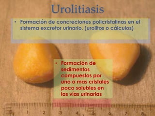 Urolitiasis en pequeñas especies cani, felinos | PDF