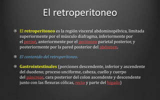 Urologia presentacion | PPTX