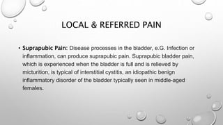 Clinical Presentation of Urological Patients | PPTX