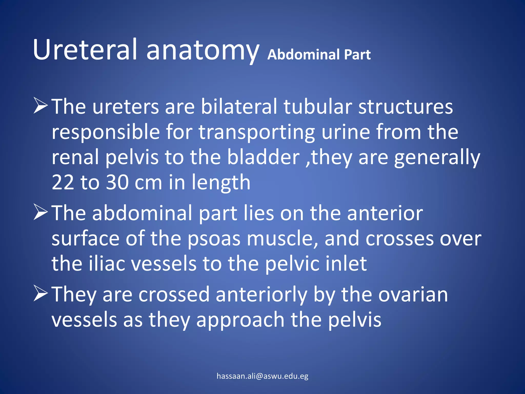 Urological complication during obstetrical and gynecological surgeries ...