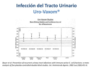 Infecciones del Tracto Urinario | PPTX