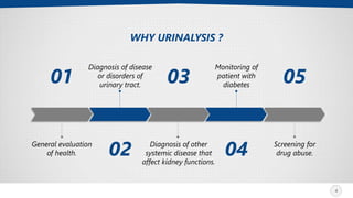 Urological laboratory investigations | PPTX