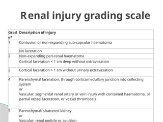 Urological Trauma eng.pptx,urology,genitourinary system | PPTX
