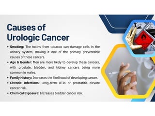 Urologic Cancer: Symptoms & Causes | PPTX