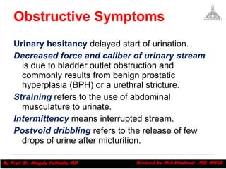 Urologic symptoms and examination | PPT