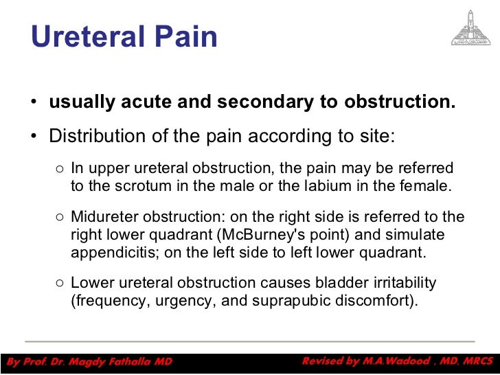 Urologic Symptoms And Examination