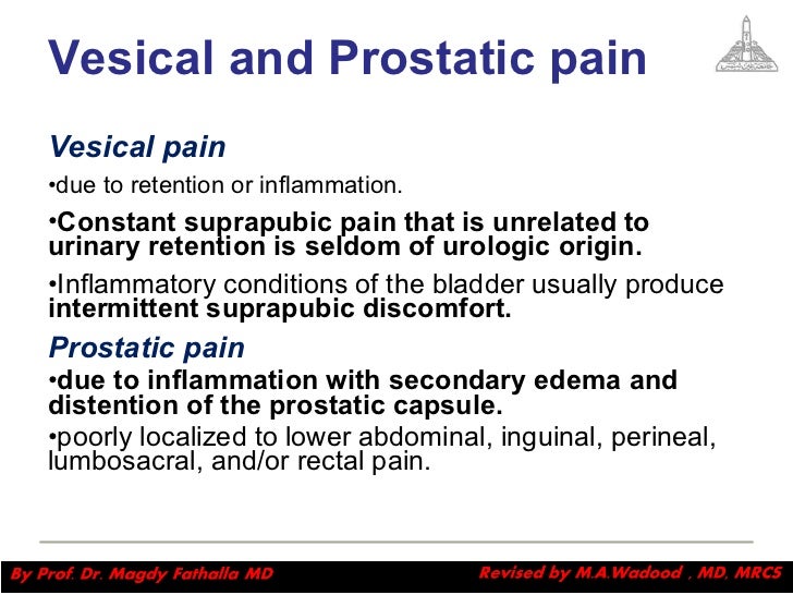 Urologic Symptoms And Examination