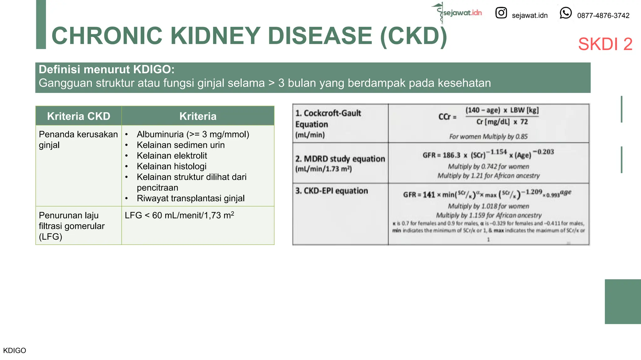 Urologi dan Nefrologi Kedokteran UKMPPD 1 | PDF