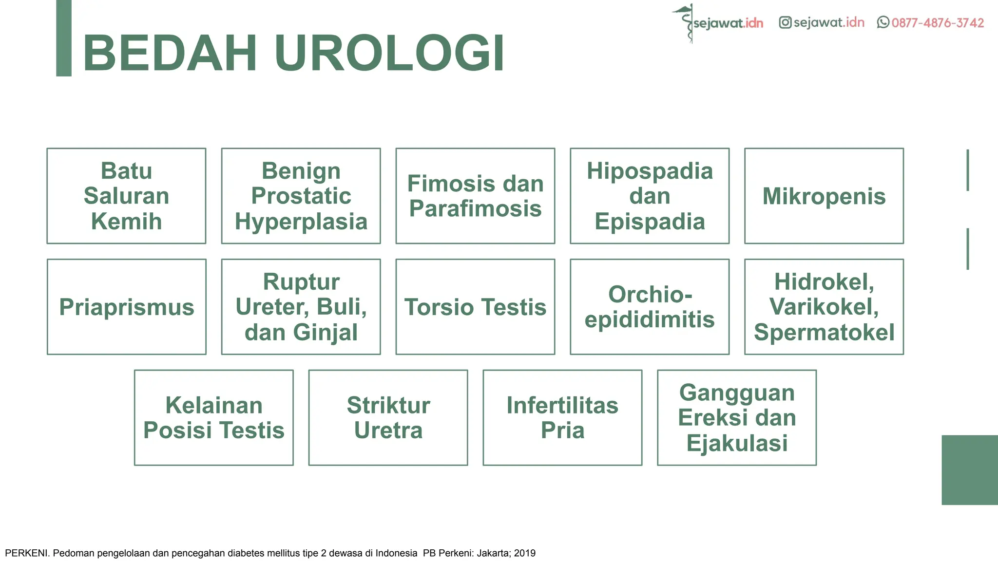 Urologi dan Nefrologi Kedokteran UKMPPD 1 | PDF