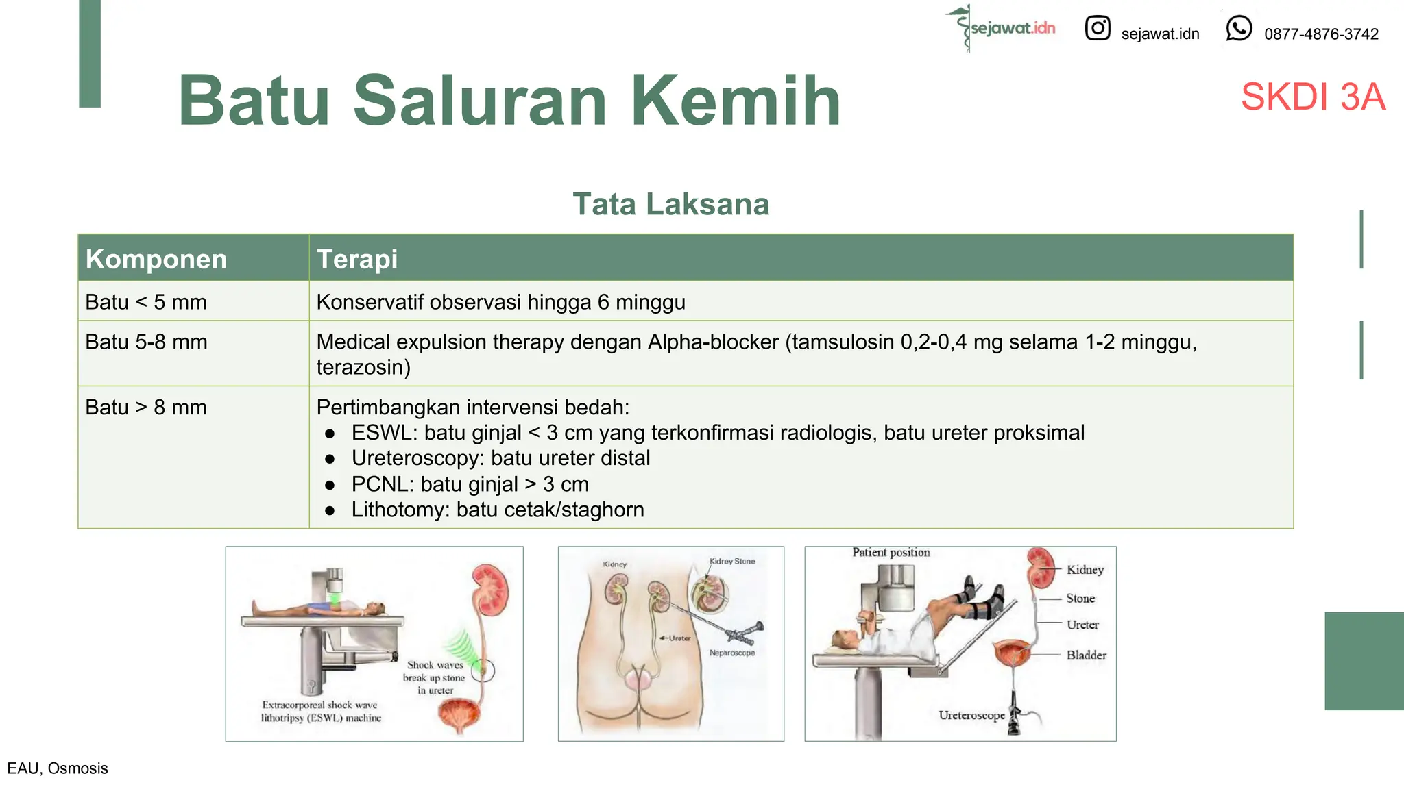 Urologi dan Nefrologi Kedokteran UKMPPD 1 | PDF